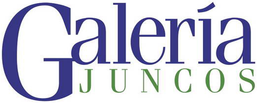 Galería Juncos – Commercial Space in Juncos, Puerto Rico – DEMO